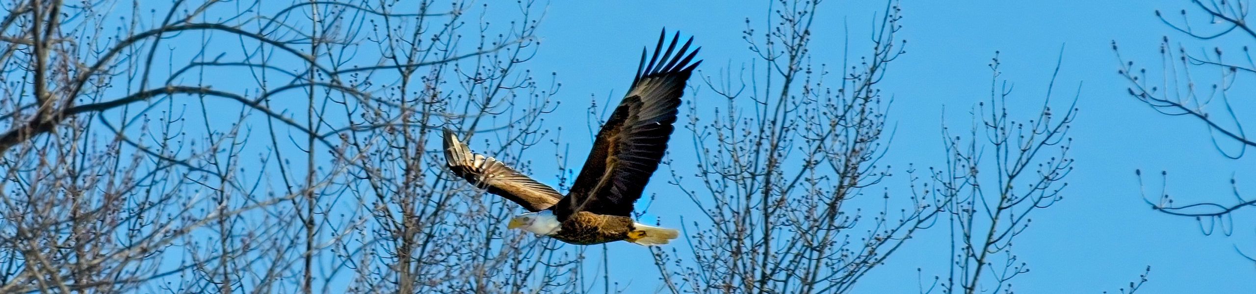 Reader’s Links for May 5th, 2025 – Vlad Tepes